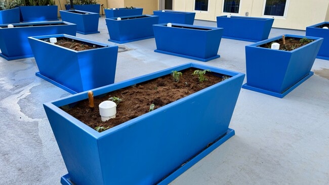 Kokua Hale Apartments - Honolulu, Hawaii - 196 units available | After55