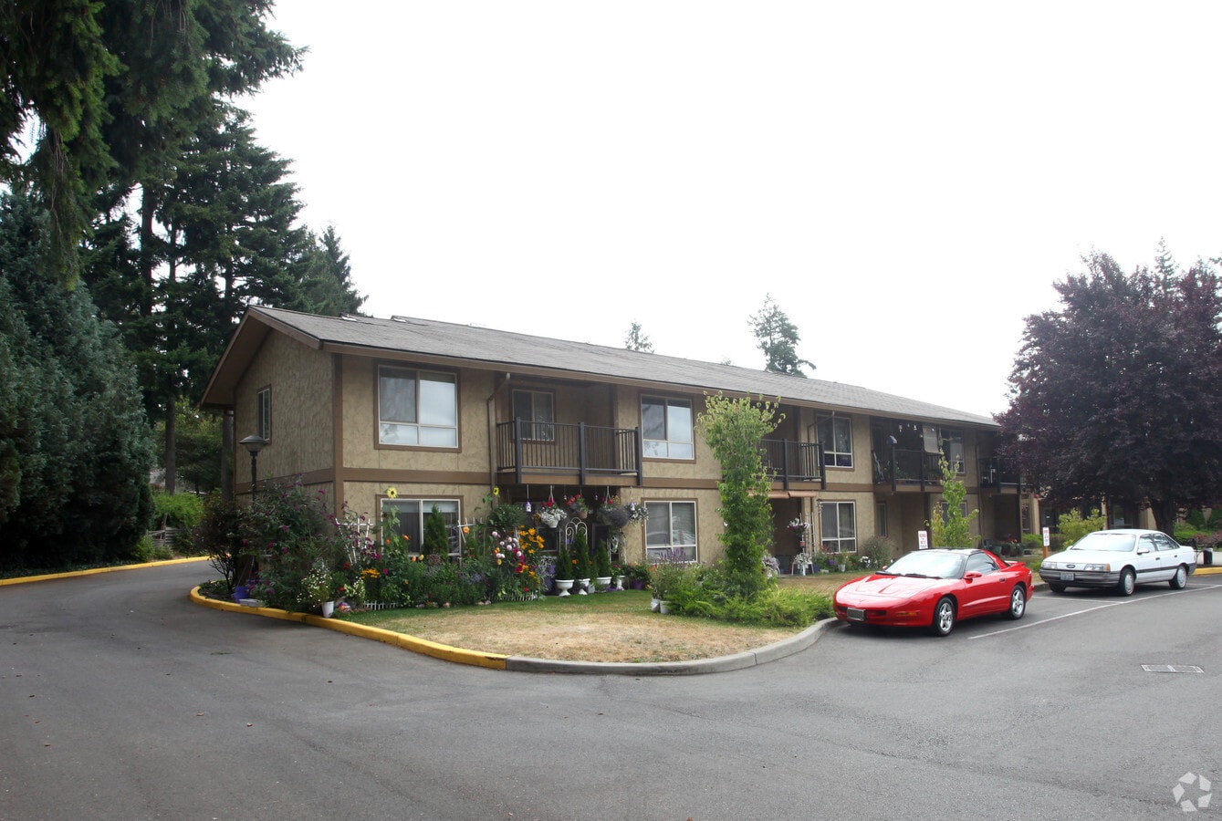 Casa Madrona Apartments - Olympia, Washington - 0 unit available | After55